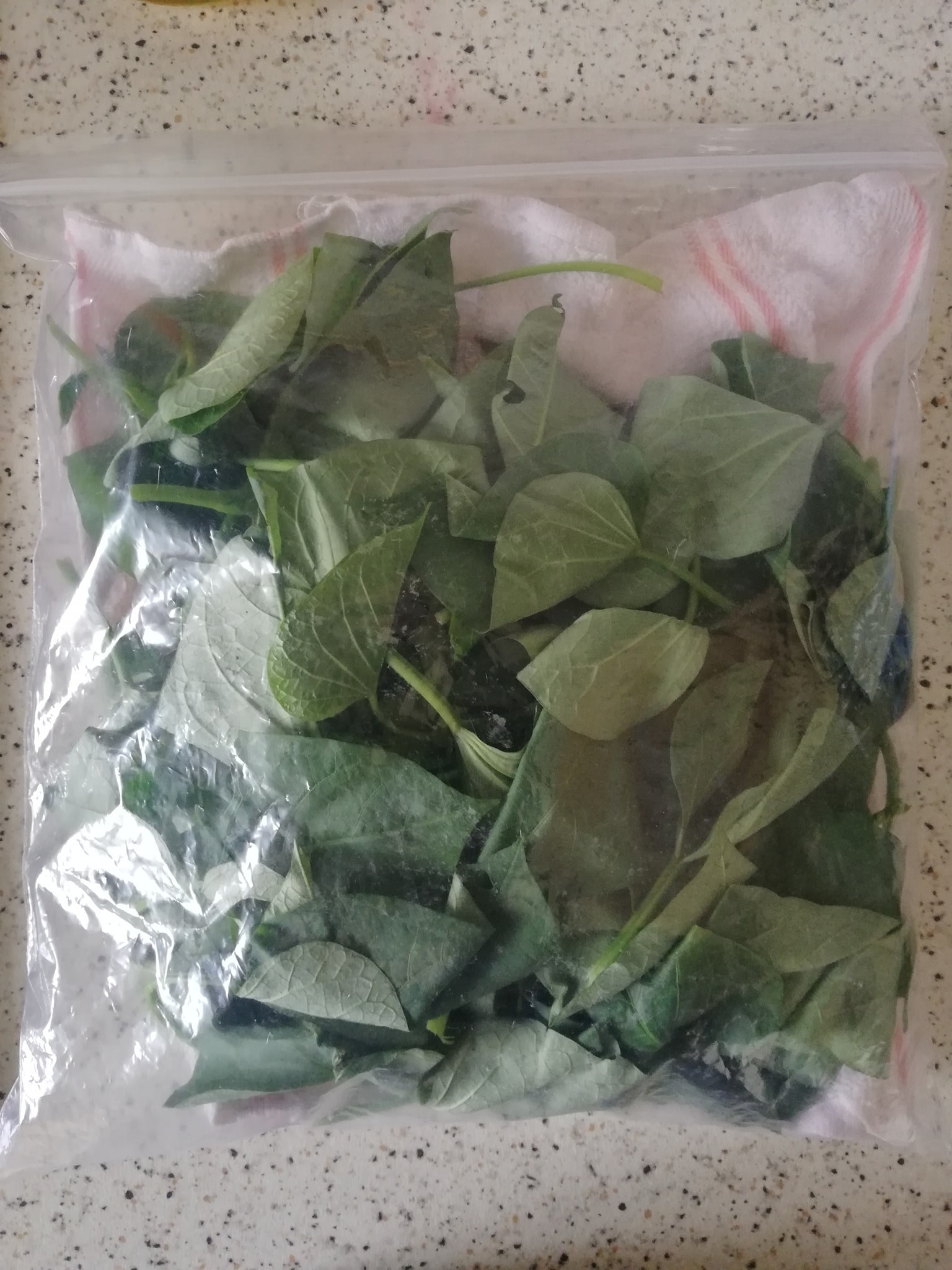 Tips Simpan Bahan Basah Supaya Tahan Lama - Wanita Kelantan